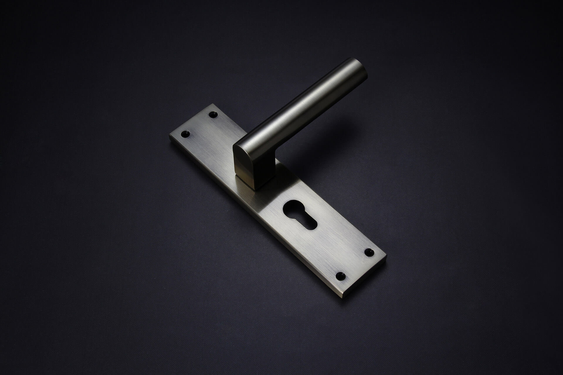 Custom Door Locks – AXISÉ – PIVOTAL AND SMART SYSTEMS